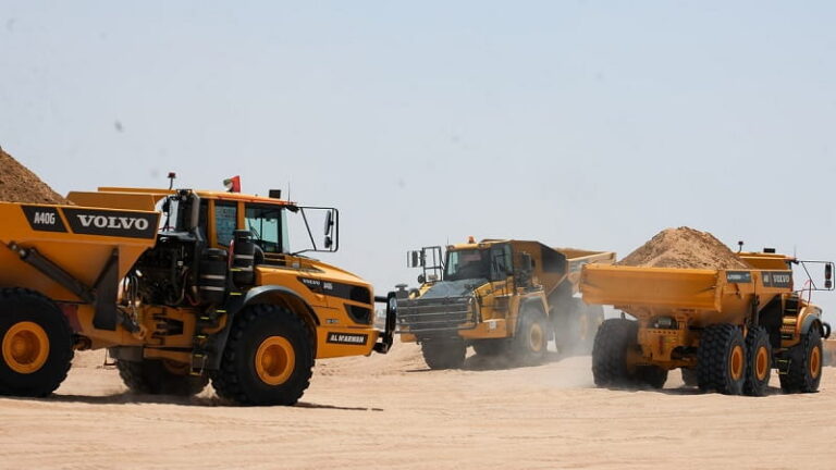Small Dump Truck Fleet for Sale - Dump Truck
